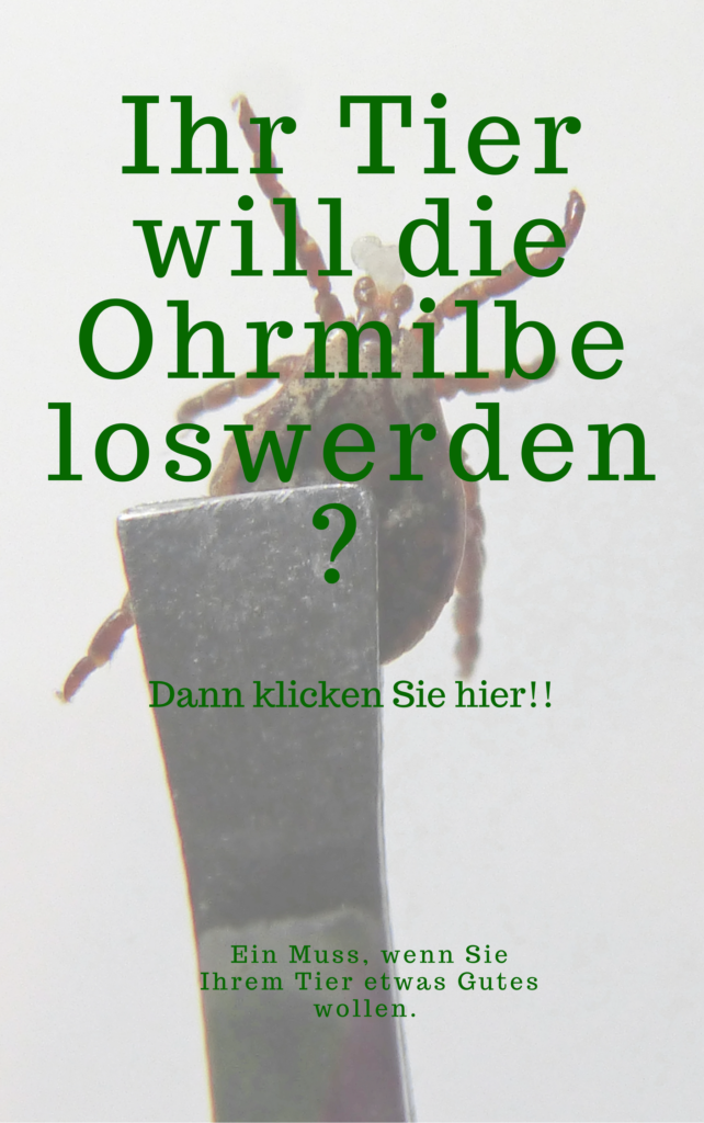 Hautausschlag durch Milben bekämpfen - Tipps und Tricks